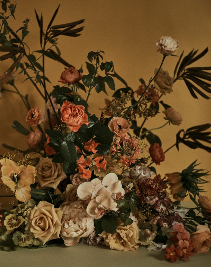 Home - David Ralph Photography : David Ralph Photography